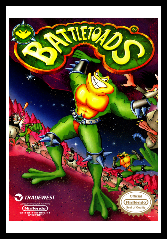 NES – Battletoads Poster - Retro Game Cases 🕹️